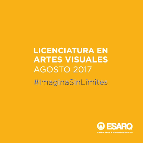 Steelpan GIFs - Find & Share on GIPHY