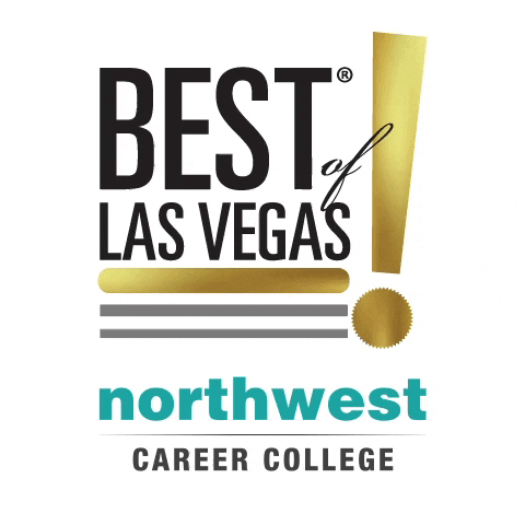 Best College GIFs - Get the best GIF on GIPHY