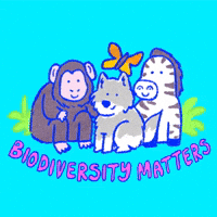 Earth-conservation GIFs - Get the best GIF on GIPHY