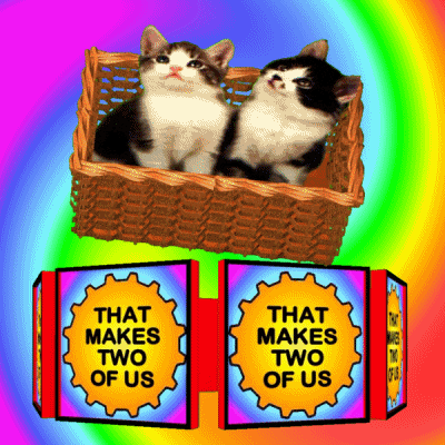 Two-kittens GIFs - Get the best GIF on GIPHY