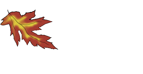 Fall Leaves Transparent Gif