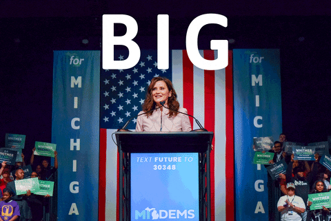 Team Vote GIF by Gretchen Whitmer - Find & Share on GIPHY