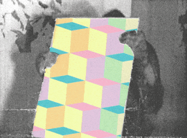 CREATE YOUR OWN GIFS by Beeld & Geluid | GIPHY