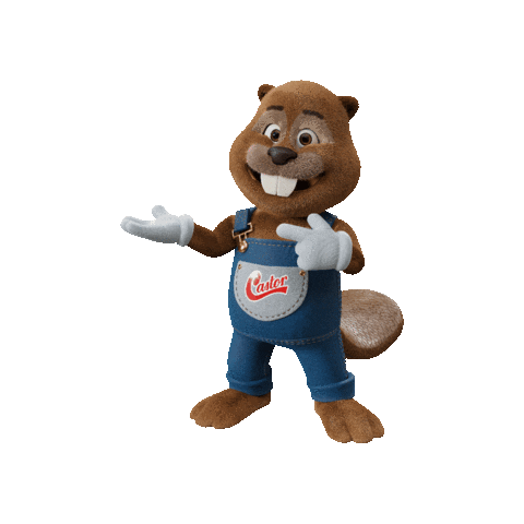 Colchões Castor GIFs - Find & Share on GIPHY