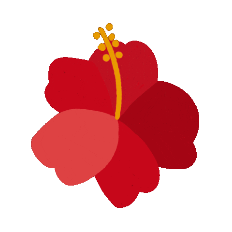 Malaysia Hibiscus Sticker By Sticker for iOS & Android | GIPHY
