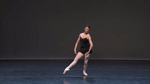 Royal Opera House GIF - Find & Share on GIPHY