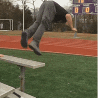 Front Flip Dog GIFs - Find & Share on GIPHY