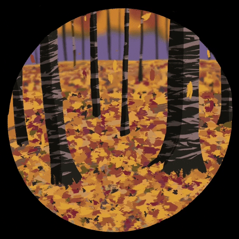 Animation Fall GIF by Zezaz - Find & Share on GIPHY