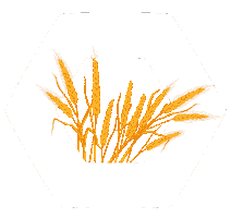 Bravo Supermarket GIFs on GIPHY - Be Animated