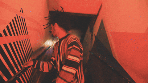 Curtis And Kuby GIFs - Get the best GIF on GIPHY