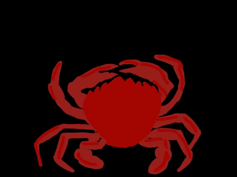 Crab Animation GIFs - Get the best GIF on GIPHY