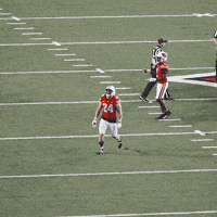 Gif Du Présentateur Baxter Baxter Punt GIFs Find & Share On GIPHY