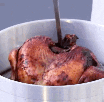 Cooked Turkey Gif