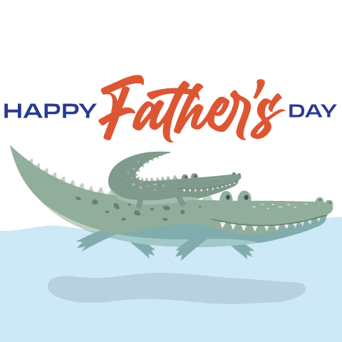 University of Florida GIFs on GIPHY - Be Animated