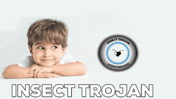 Insect Trojan GIFs on GIPHY - Be Animated