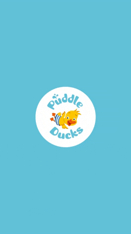 Puddle Ducks HQ GIFs on GIPHY - Be Animated
