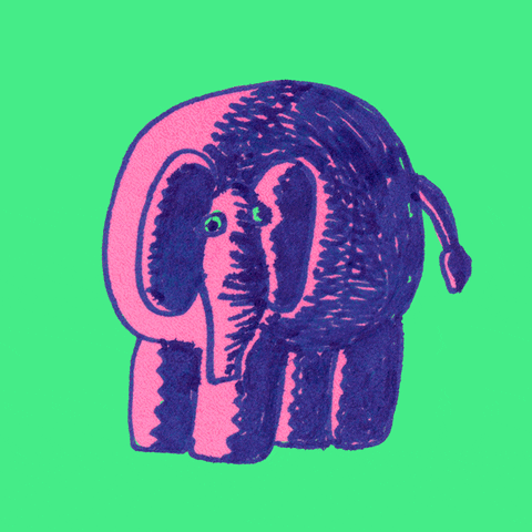 Trunk GIFs - Get the best GIF on GIPHY