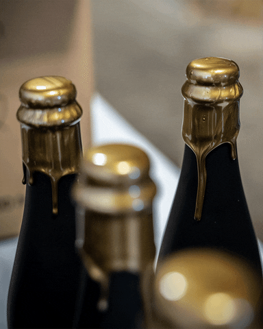 Wax-drip GIFs - Get the best GIF on GIPHY