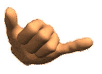 Hang Loose Animated Gif