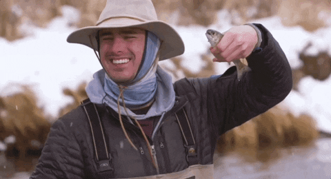Catch Fish GIFs - Get the best GIF on GIPHY