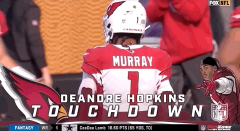 Arizona Cardinals Football GIF by NFL - Find & Share on GIPHY