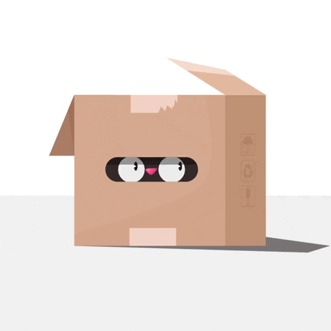 Cat Motion GIF - Find & Share on GIPHY