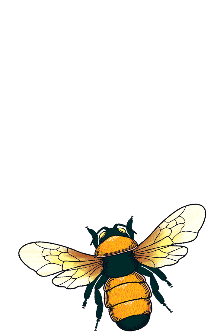 Bee Insect Sticker by Adriana Barra for iOS & Android | GIPHY