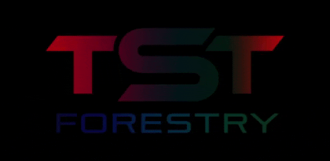 TST Logos GIFs on GIPHY - Be Animated