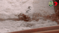 Feather Falling Gif