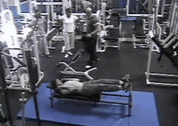 Spread GIFs - Find & Share on GIPHY