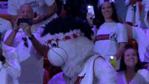 Miami-mascot GIFs - Get the best GIF on GIPHY