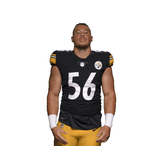 Pittsburgh Steelers GIFs on GIPHY - Be Animated