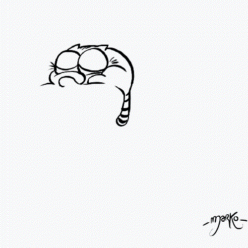 Good-Day Cat GIF by marko - Find & Share on GIPHY