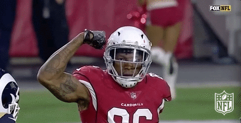 Arizona Cardinals Football GIF by NFL - Find & Share on GIPHY