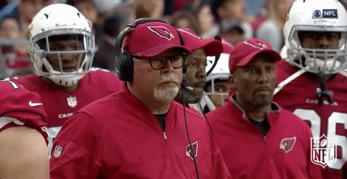 Arizona Cardinals Football GIF by NFL - Find & Share on GIPHY