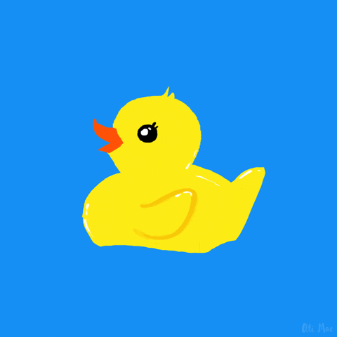Water Duck GIF by ali mac - Find & Share on GIPHY