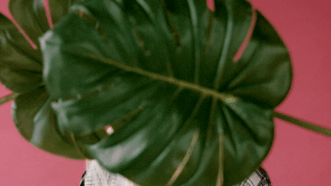 So Stylish GIFs - Get the best GIF on GIPHY