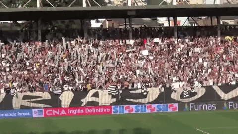 Botafogo Futebol E Regatas GIF by Botafogo - Find & Share on GIPHY