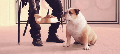 I Feel Cute Today GIFs - Get the best GIF on GIPHY