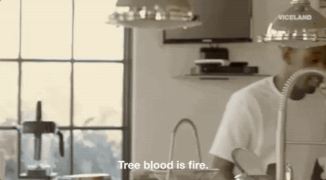 Tree-fire GIFs - Get the best GIF on GIPHY