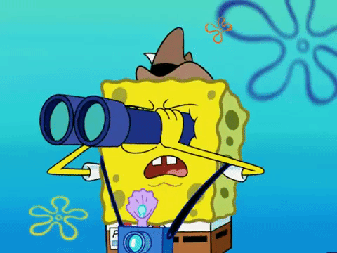 Season 6 Boating Buddies GIF by SpongeBob SquarePants - Find & Share on ...