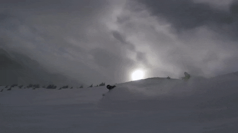 Animated GIF - Find & Share on GIPHY