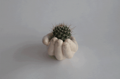 25X75 Star Ceramic Art GIFs - Get the best GIF on GIPHY