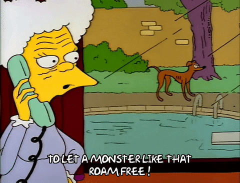 Roam-free GIFs - Get the best GIF on GIPHY