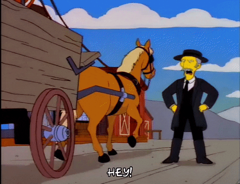 Hey-steve GIFs - Get the best GIF on GIPHY