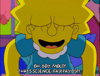 Science Experiment GIFs - Find & Share on GIPHY