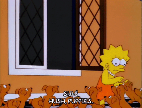 Hush-puppy GIFs - Get the best GIF on GIPHY