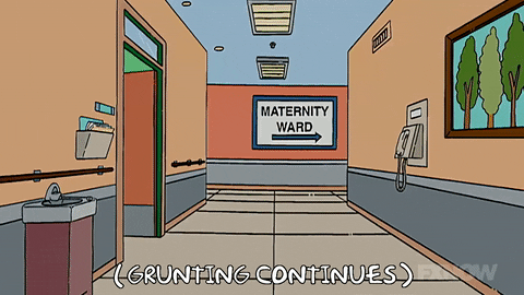 Maternity-ward GIFs - Get the best GIF on GIPHY
