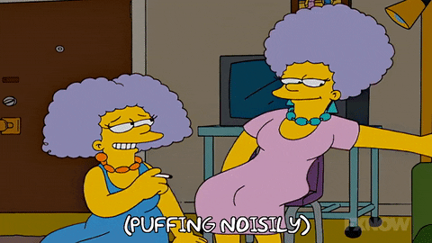 Puffining GIFs - Get the best GIF on GIPHY