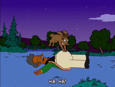 O-haha GIFs - Get the best GIF on GIPHY